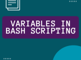 Introduction To Variables In Bash Scripting An Ultimate Guide