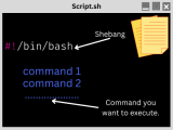 How Will You Start Writing Bash Scripts A Complete Overview