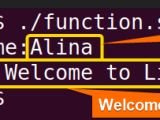 Bash Script Examples