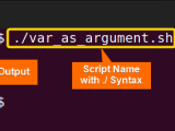 How To Assign Variable In Bash Script 8 Practical Cases Linuxsimply