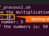 How To Call Another Script In Bash 2 Methods