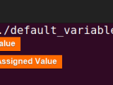 How To Assign Variable In Bash Script 8 Practical Cases Linuxsimply