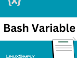 Bash Variables Linuxsimply