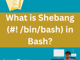 What Is Shebang Bin Bash In Bash Script Explained Linuxsimply