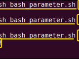 Parameters In Bash Scripting Linuxsimply