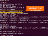 How To Export Environment Variables With Bash 4 Examples Linuxsimply