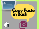 How To Copy And Paste In Bash 2 Methods With Cases