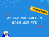How To Assign Variable In Bash Script 8 Practical Cases Linuxsimply