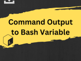 How To Store Command Output To Bash Variable 3 Examples
