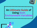 An Ultimate Guide Of Bash Environment Variables Linuxsimply