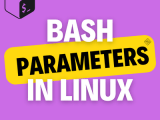 Parameters In Bash Scripting Linuxsimply