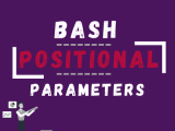 How To Use Positional Parameters In Bash Script 2 Examples Linuxsimply