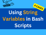 How To Use String Variables In Bash Script 4 Cases Linuxsimply