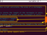 Bash Comments