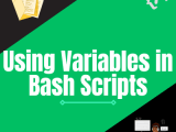 Using Variables In Bash Scripting Linuxsimply