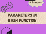 How To Use Bash Function With Parameters 6 Examples Linuxsimply