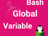 A Total Guide On Global Variable In Bash 3 Examples Linuxsimply
