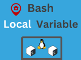 Insights To Local Variable In Bash 4 Practical Examples Linuxsimply