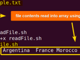 How To Read Into Bash Array 3 Methods