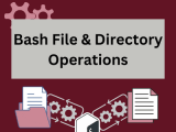 Bash File Directory Operations Linuxsimply