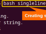 Bash String Linuxsimply
