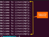 While Loop In Bash Linuxsimply