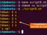 Until Loop In Bash Linuxsimply