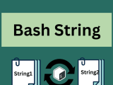 Bash String Linuxsimply