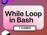 While Loop In Bash Linuxsimply
