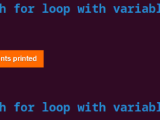 How To Use Bash For Loop With Variable 12 Examples Linuxsimply