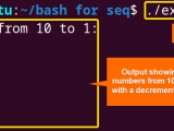 How To Use Bash For Loop With Seq Command 10 Examples Linuxsimply
