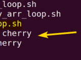 How To Copy An Array In Bash 6 Simple Methods
