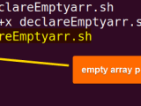 How To Check If An Array Is Empty In Bash 5 Methods