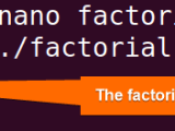 8 Examples Of While Loop In Bash Linuxsimply