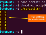 How To Use Loop Control In Bash Break Continue Statement Linuxsimply