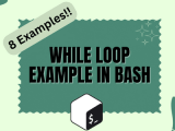 8 Examples Of While Loop In Bash Linuxsimply