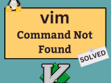 Solved Bash Vim Command Not Found Error Linuxsimply