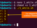 How To Use Bash Continue With While Loop 7 Examples Linuxsimply
