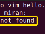 Solved Bash Command Not Found Error Linuxsimply