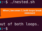 Exit While Loop Using Break Statement In Bash 11 Examples