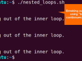 Exit While Loop Using Break Statement In Bash 11 Examples