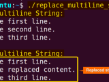 Bash Multiline String Linuxsimply
