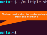 Exit While Loop Using Break Statement In Bash 11 Examples