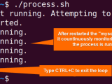 How To Use Sleep Command In Bash While Loop 6 Examples Linuxsimply