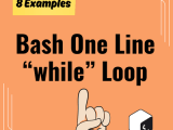 How To Use Bash One Line While Loop 8 Examples Linuxsimply