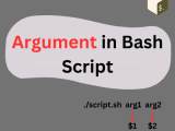 Argument In Bash Script Linuxsimply