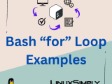 10 Common Bash For Loop Examples Basic To Intermediate Linuxsimply