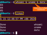 Process Management In Bash Linuxsimply