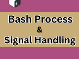 Bash Process And Signal Handling Linuxsimply