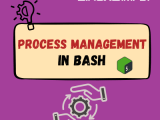 Process Management In Bash Linuxsimply